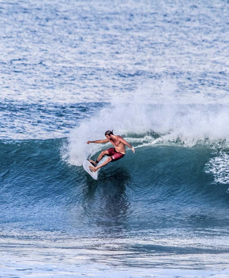 The Art of Surfing : A Guide to the Waves