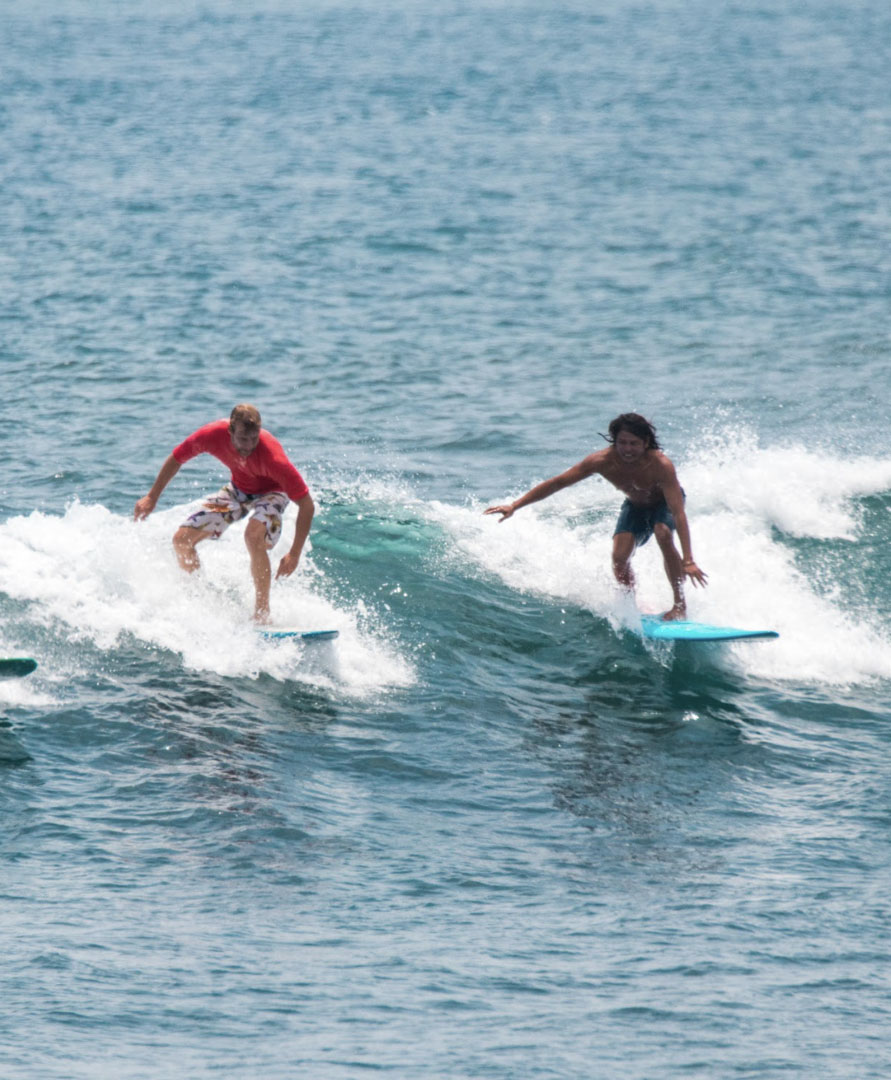 The Ultimate Guide to Surf Boards : Everything You Need to Know