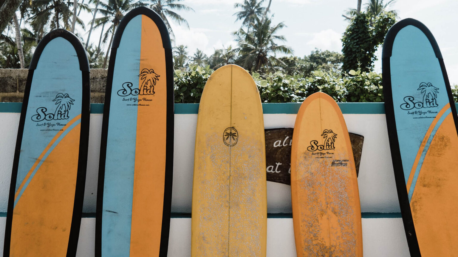 Principes de base des planches de surf : types, techniques et astuces